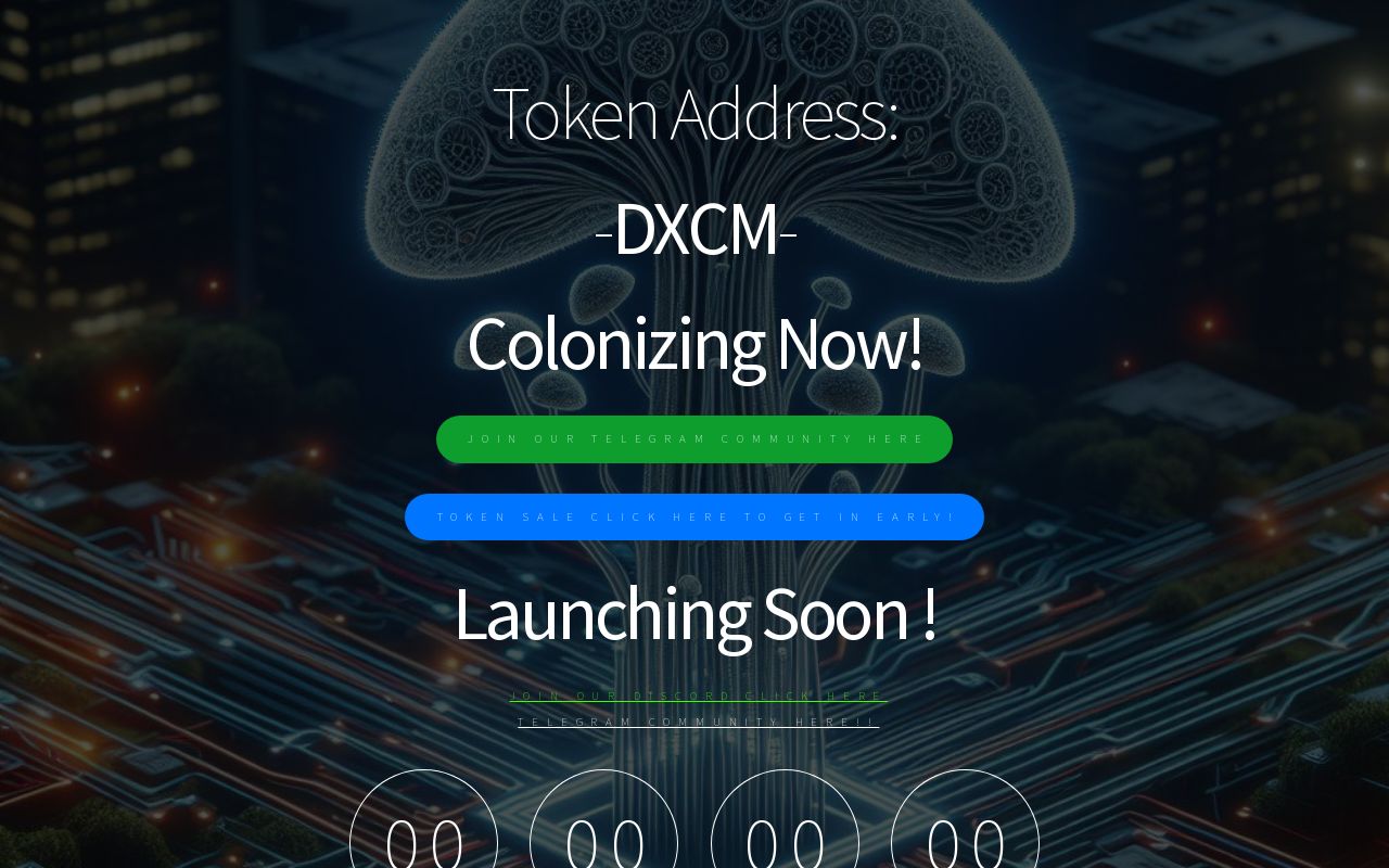 Dexcelium DXCM Presale Ico Ido info Fairlaunch Page